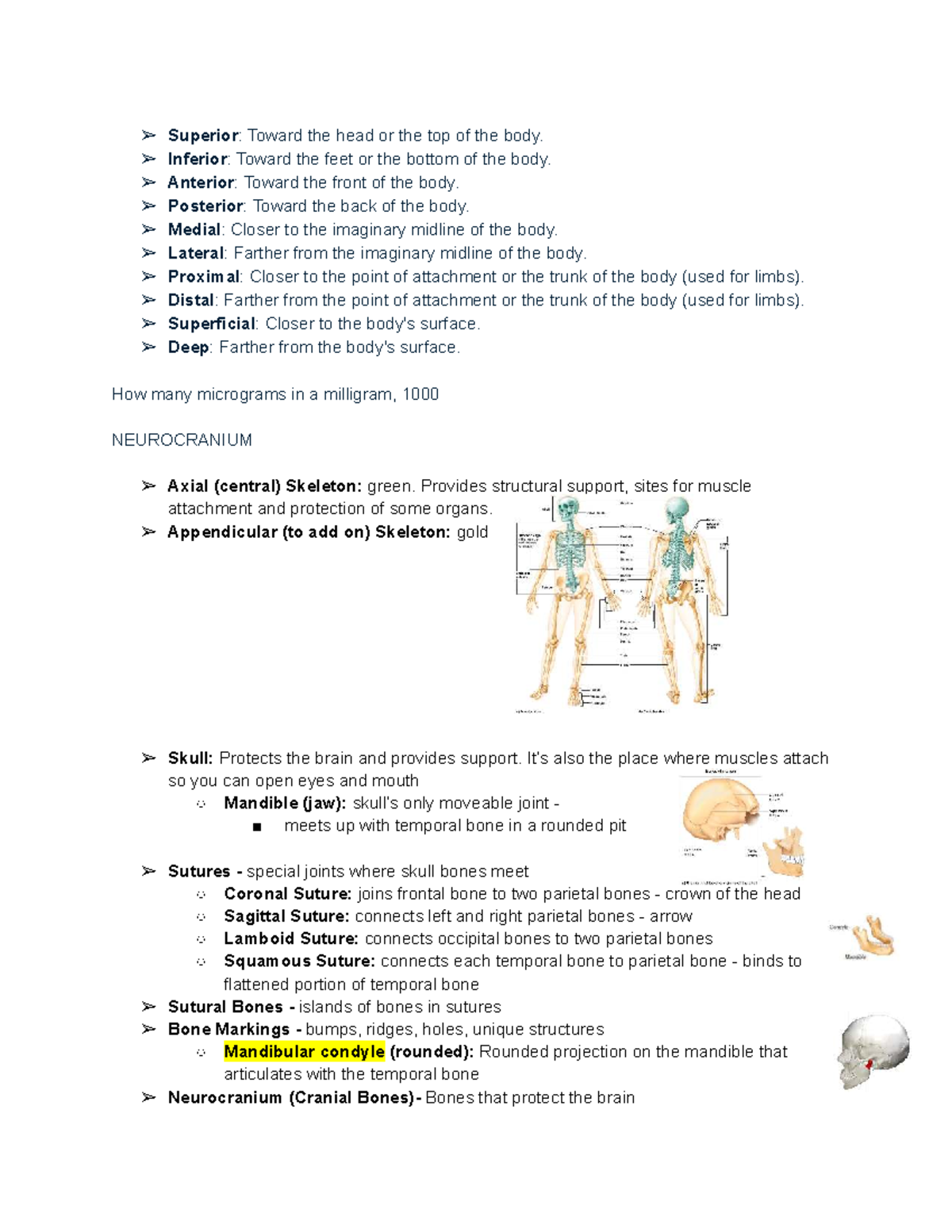 Cranial and Facial Bones Anatomy Overview - ANAT101 - Studocu