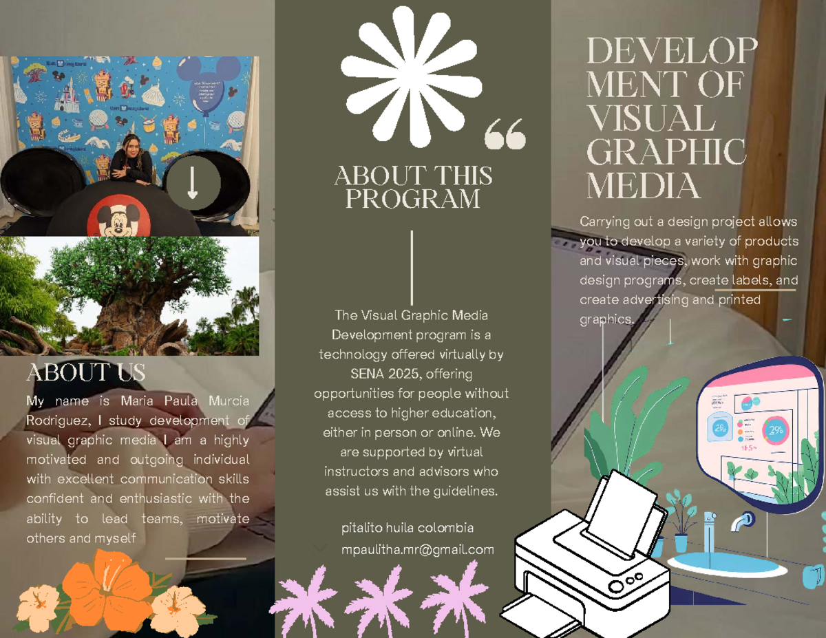 Visual Graphic Media Development Program Overview - GA1-240202501-AA1 ...