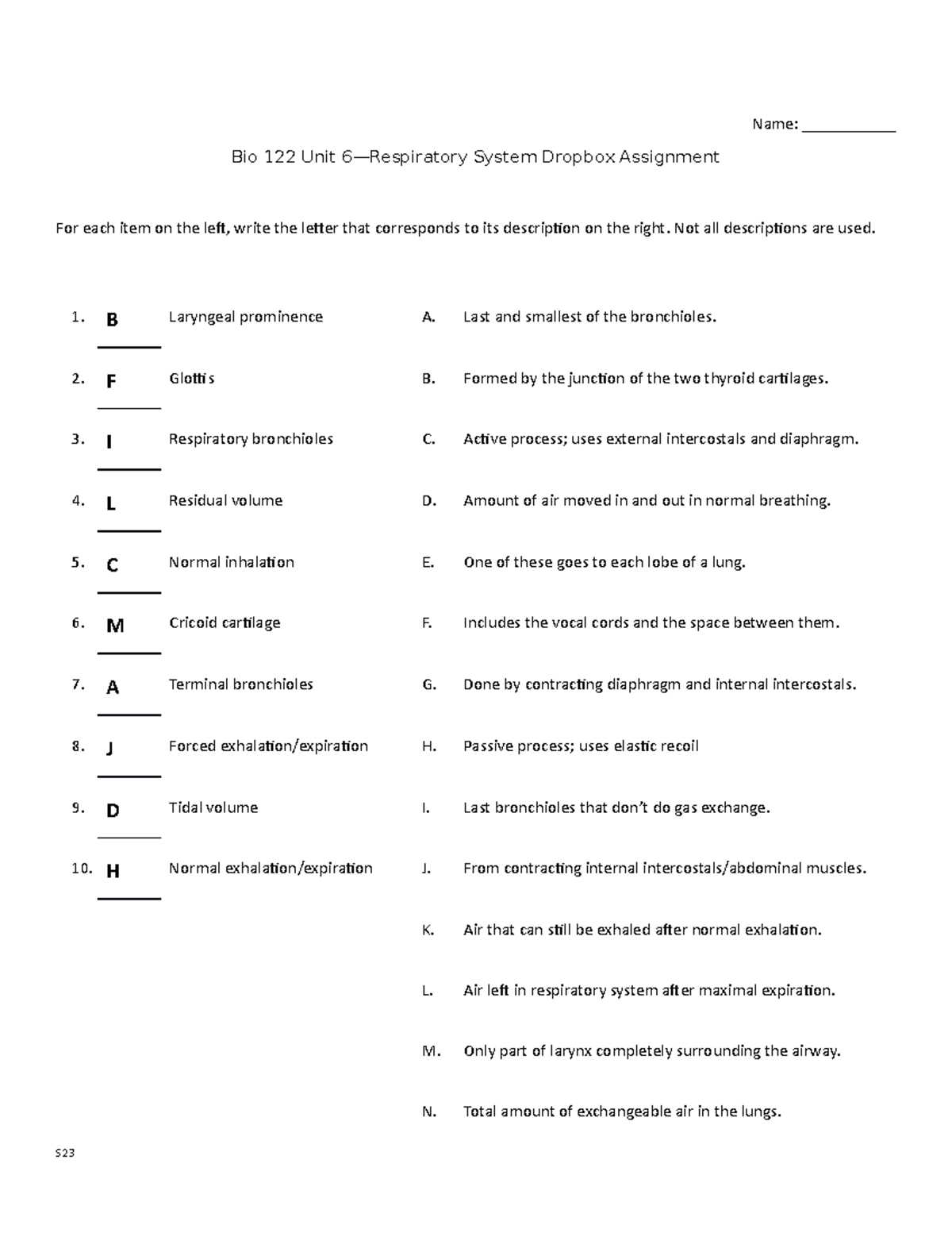 Bio 122 Unit 6 Respiratory System Worksheet Assignment - Studocu
