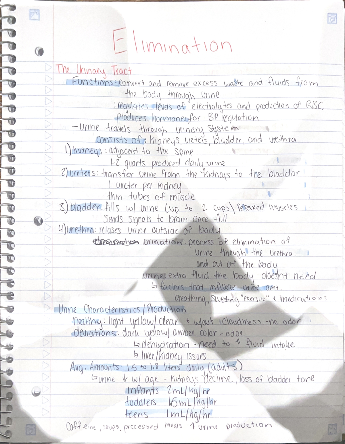 Elimination ATI notes - Information about the Urinary System with NCLEX ...