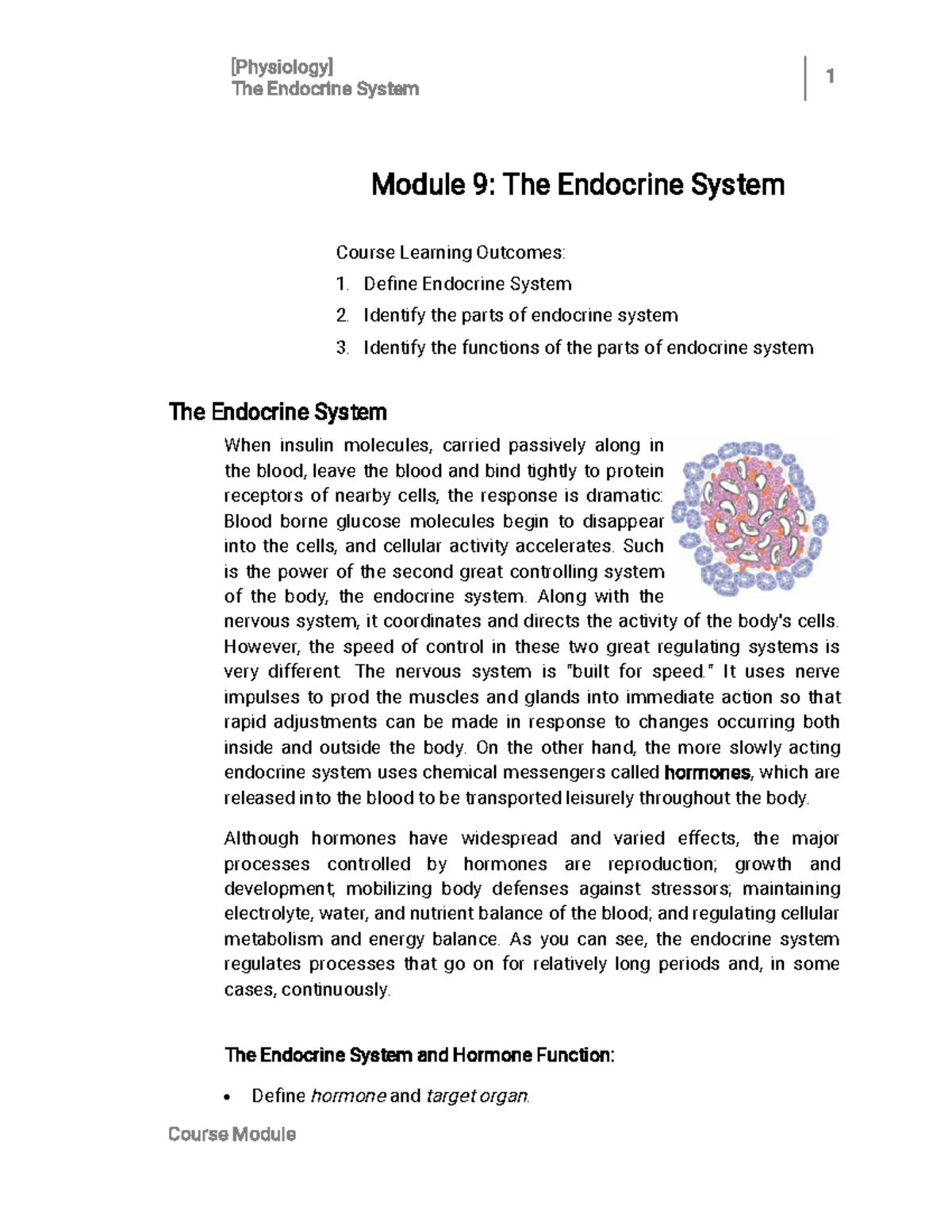 Endocrine System Module - TheEndocrineSystem 1 Module 9 ...