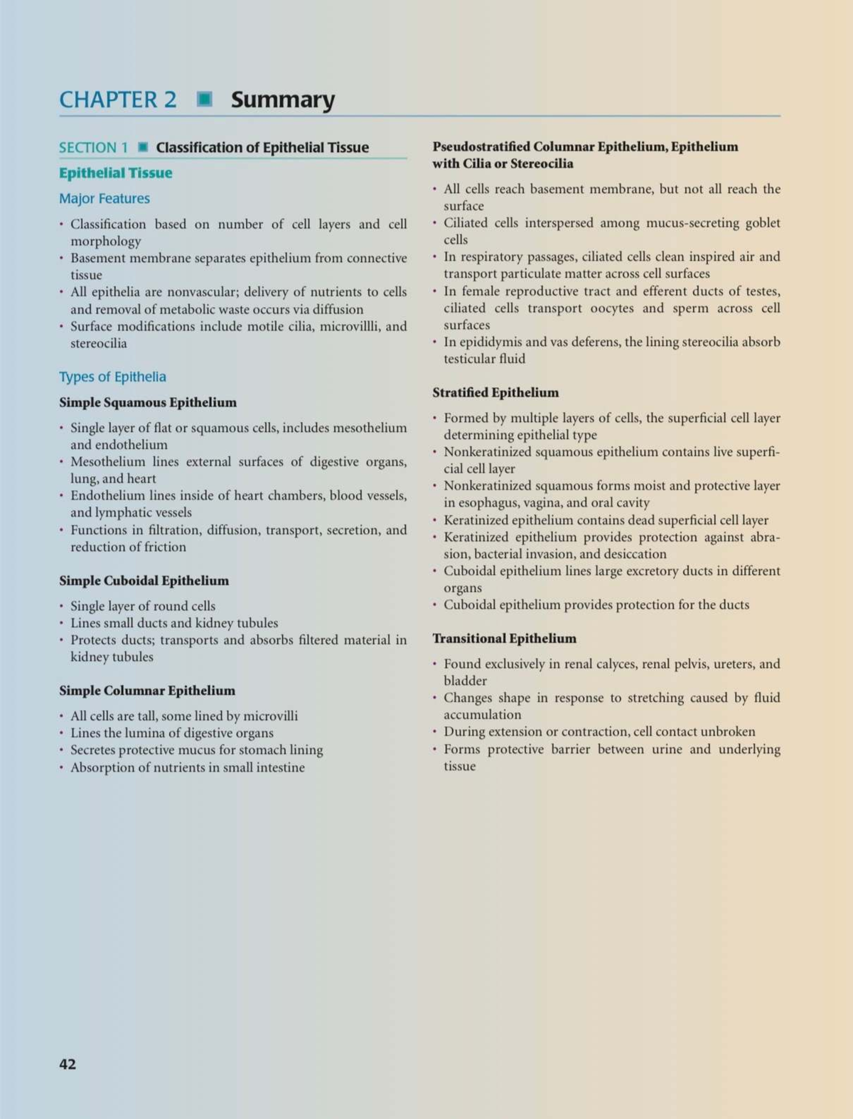 CHAPTER 2-4 Summary: Epithelial, Cartilage, and Bone Tissues - Studocu