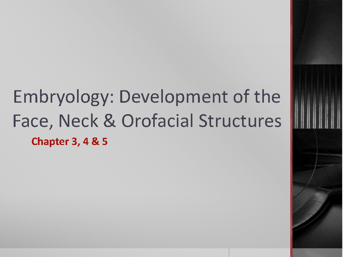 Embryology: Face, Neck & Orofacial Structures (Ch. 3-5) Overview - Studocu