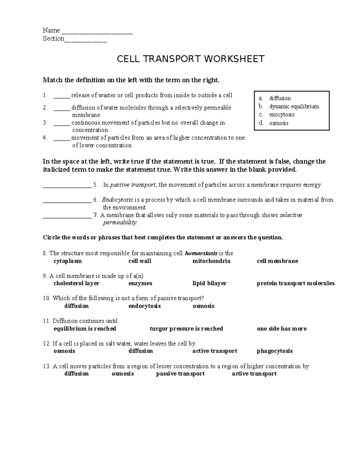CELL TRANSPORT WORKSHEET: Definitions & Processes Explained - Studocu