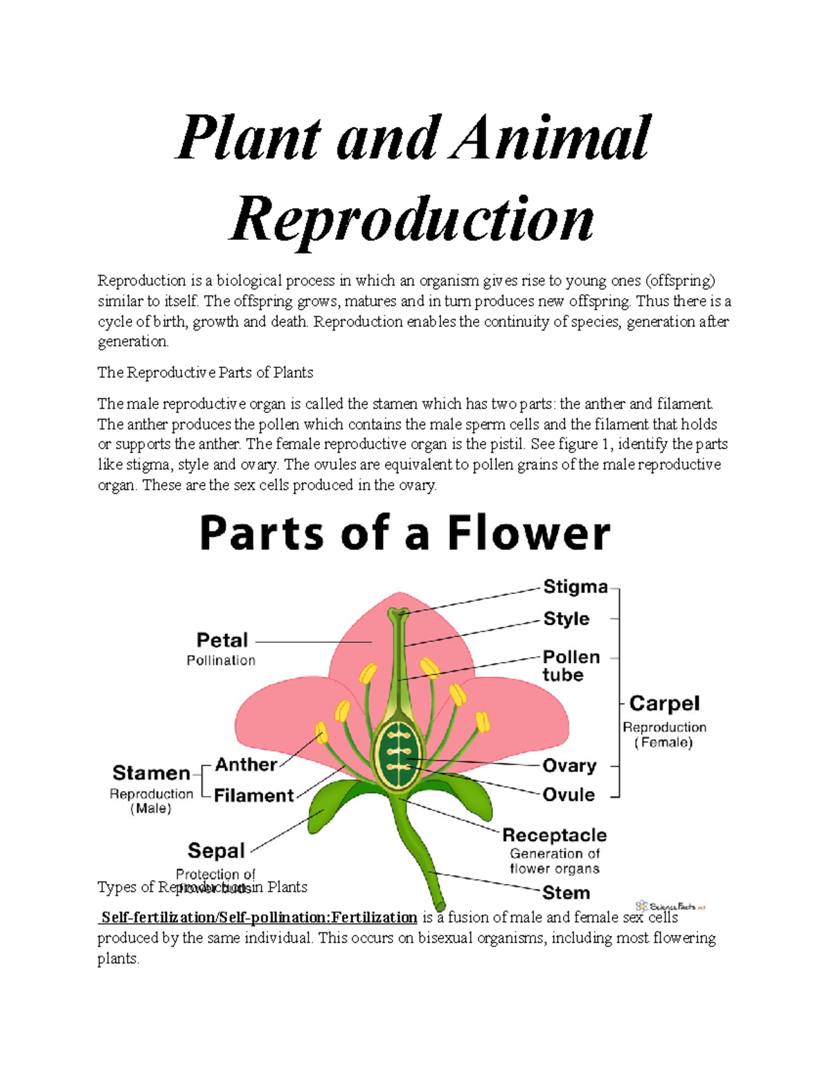 Plant and Animal Reproduction - Plant and Animal Reproduction Reproduction is a biological ...