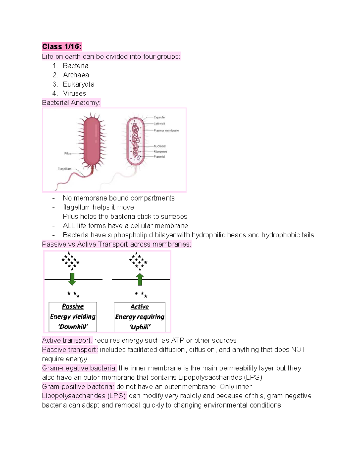 Microbiology and Immunology: Class Notes on Bacteria and Eukaryotes ...