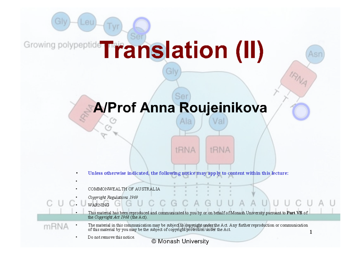 Translation (II): Antibiotic Mechanisms & Ribosomal Structures - Studocu