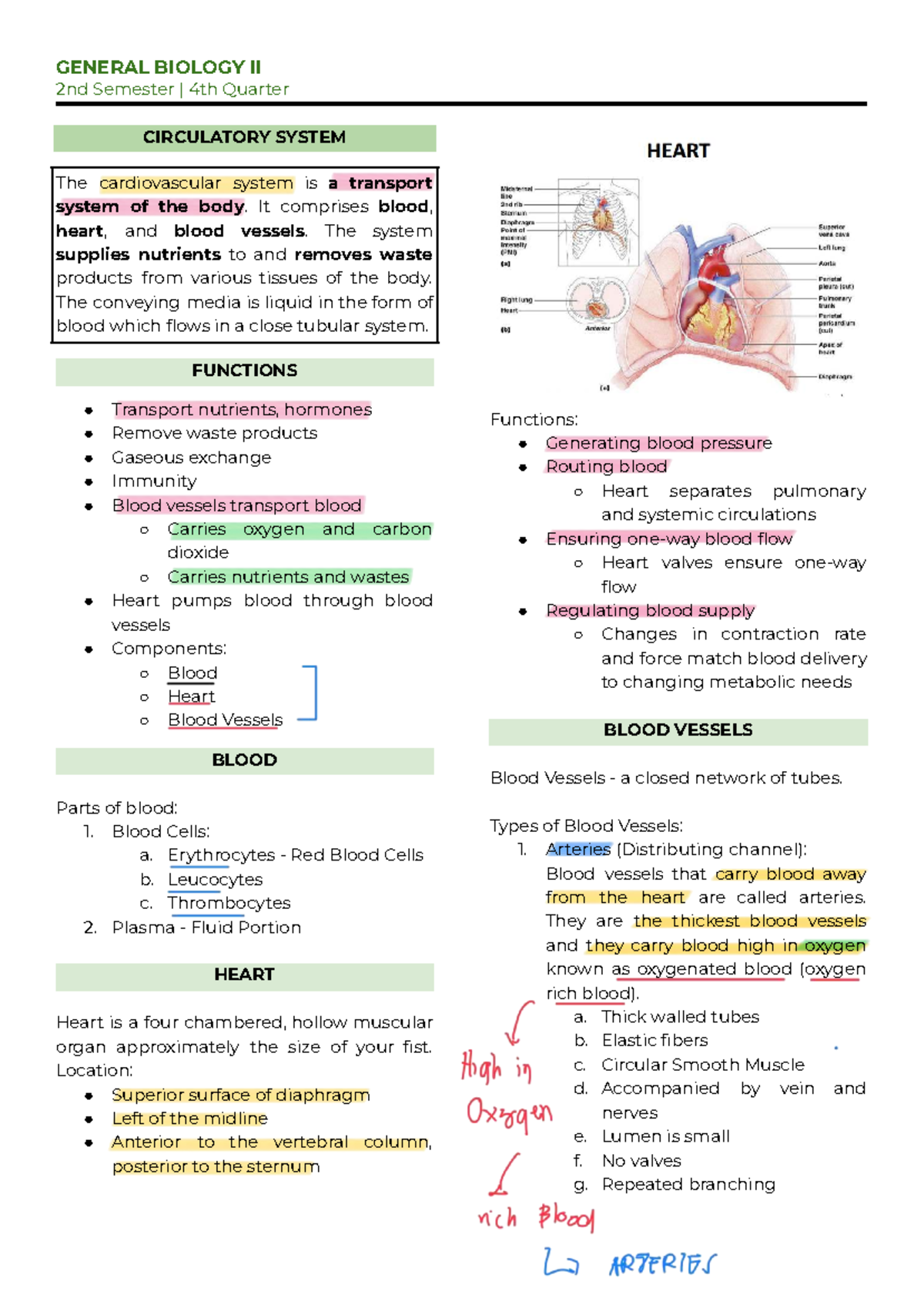GENERAL BIOLOGY II 2nd Sem 4th Qtr CIRCULATORY SYSTEM Overview - Studocu