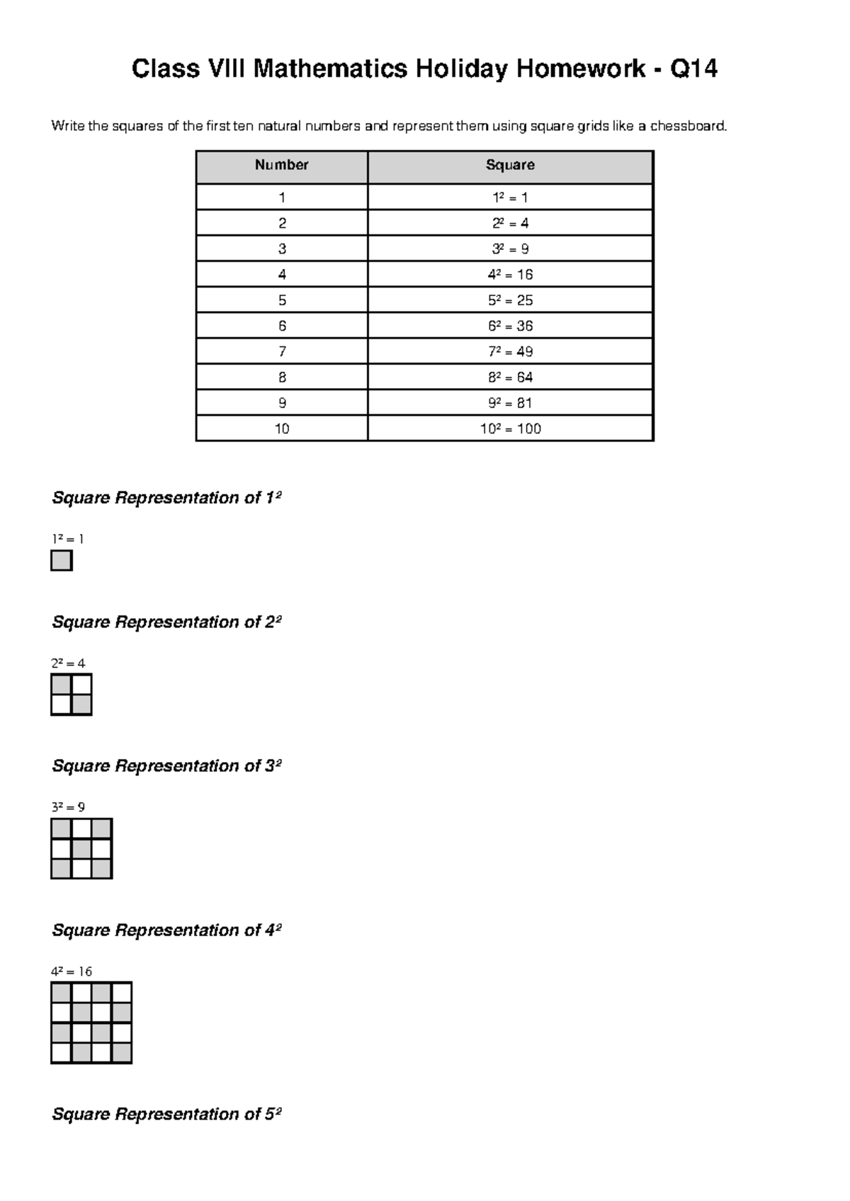 Class 8 Maths Holiday Homework Q14: Squares & Grids Representation ...
