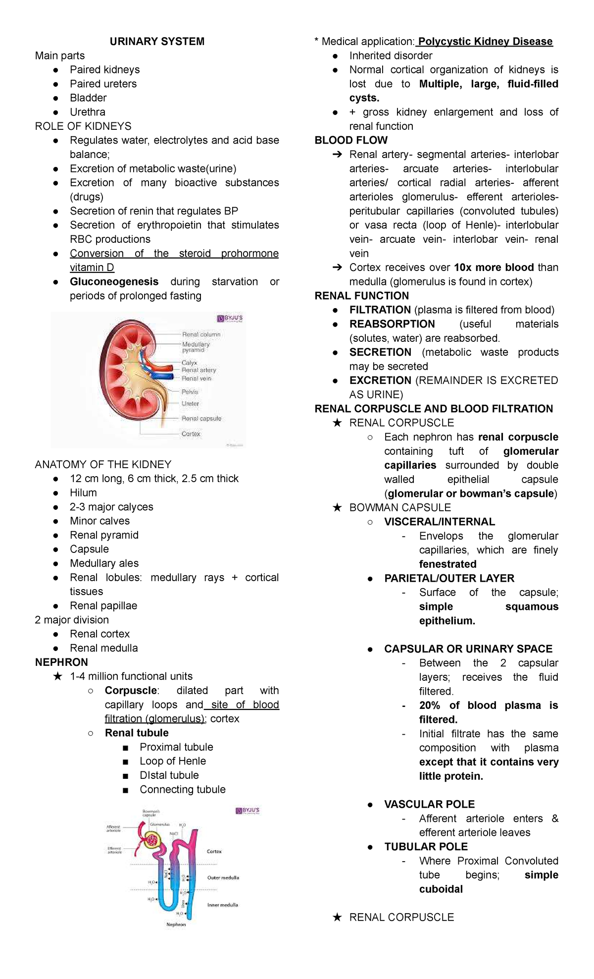 URINARY SYSTEM: Anatomy, Functions, and Medical Applications - Studocu