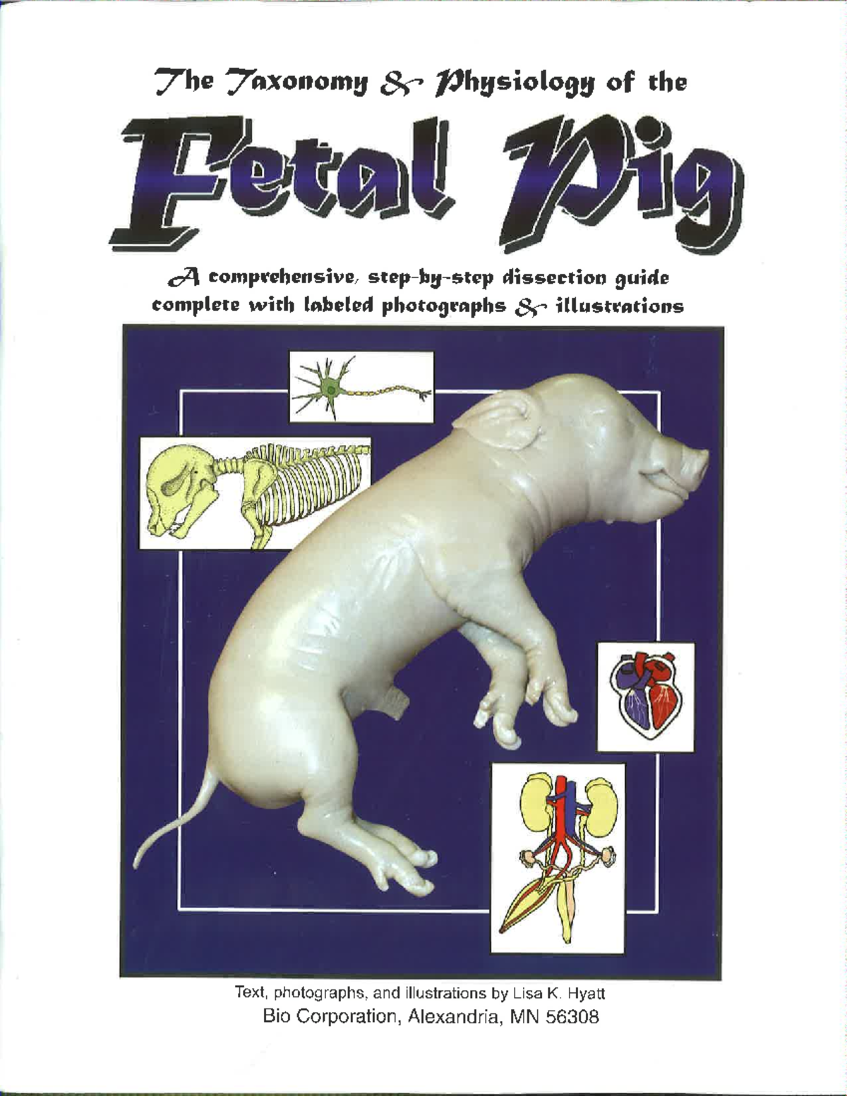 Detailed Fetal Pig Taxonomy & Physiology Dissection Guide - Studocu
