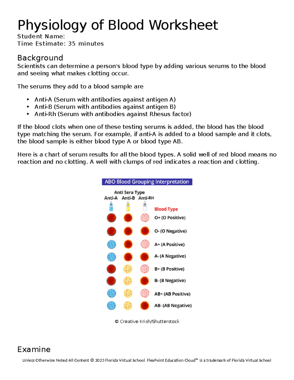 Physiology of Blood Types Worksheet for Blood Transfusion Analysis ...