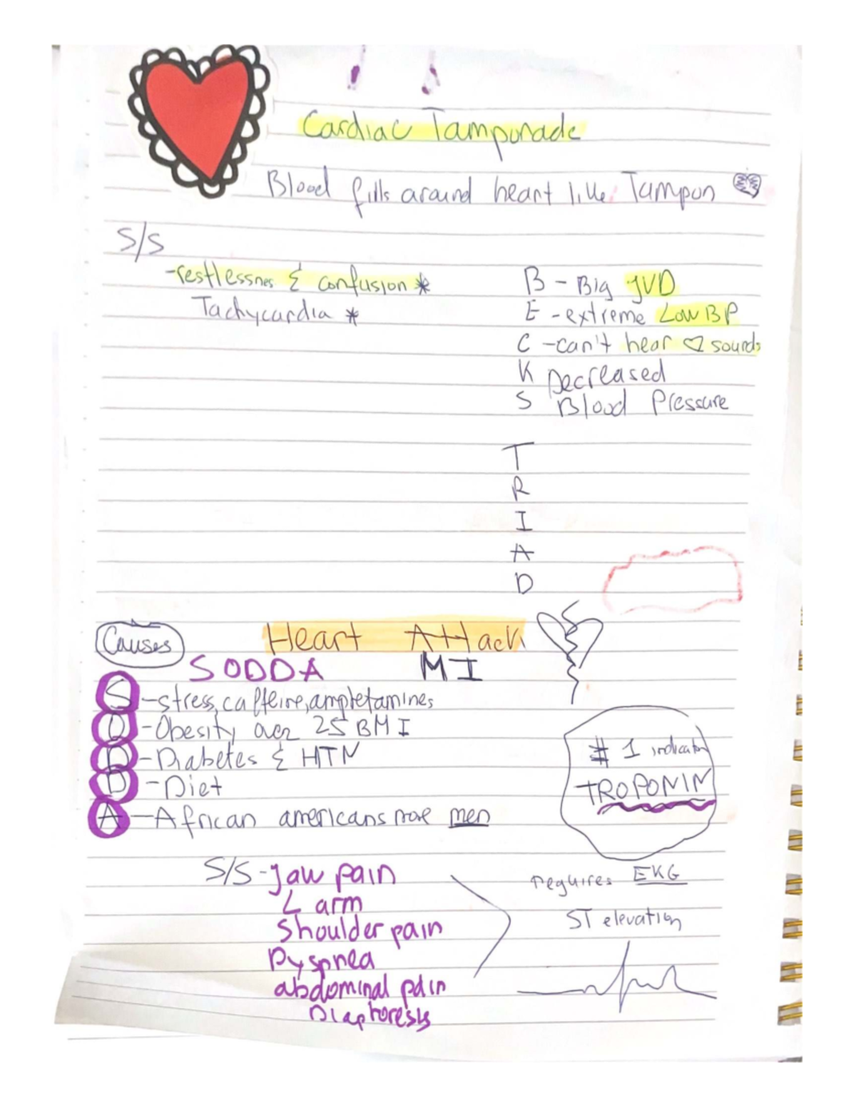 Shoulder Pain Assessment and Management in Nursing: Key Considerations - Studocu