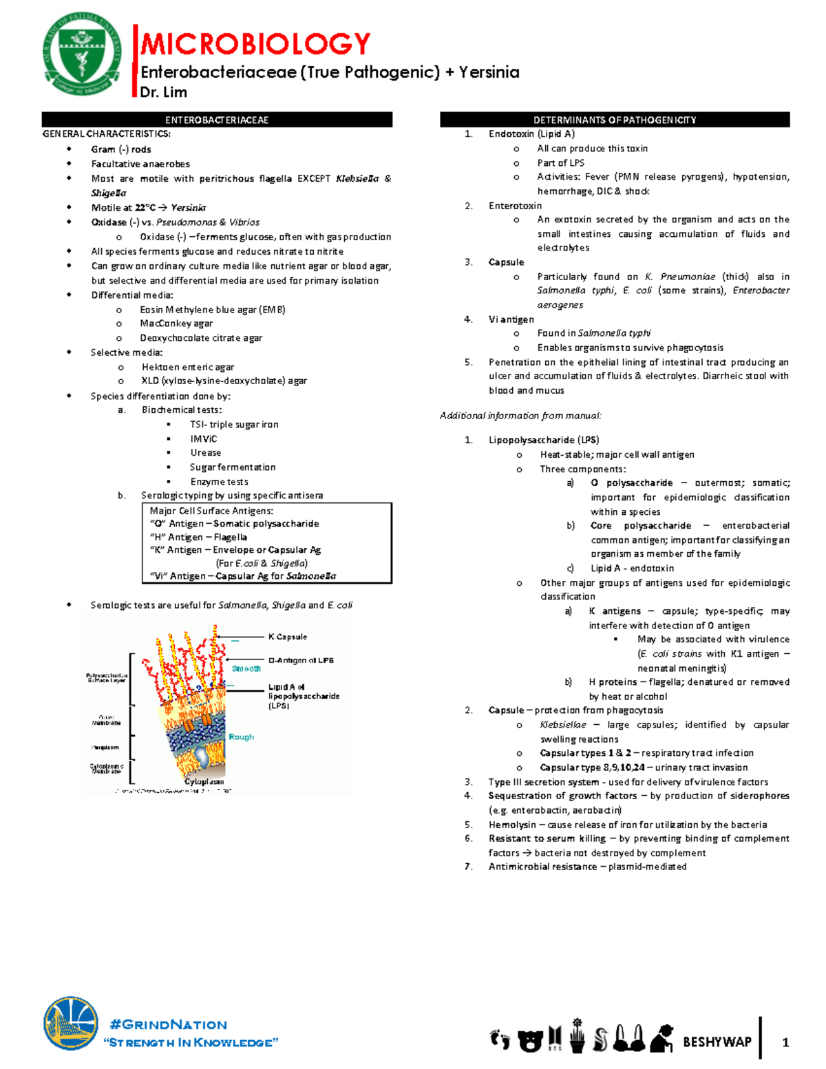 True Pathogenic Enterobacteriaceae: Focus on Yersinia (BIO 101) - Studocu