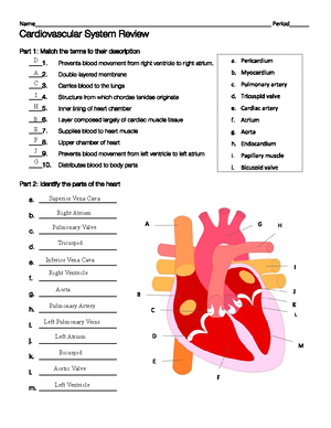 Portage Learning AP I Final Exam - NRSG 201 - Studocu