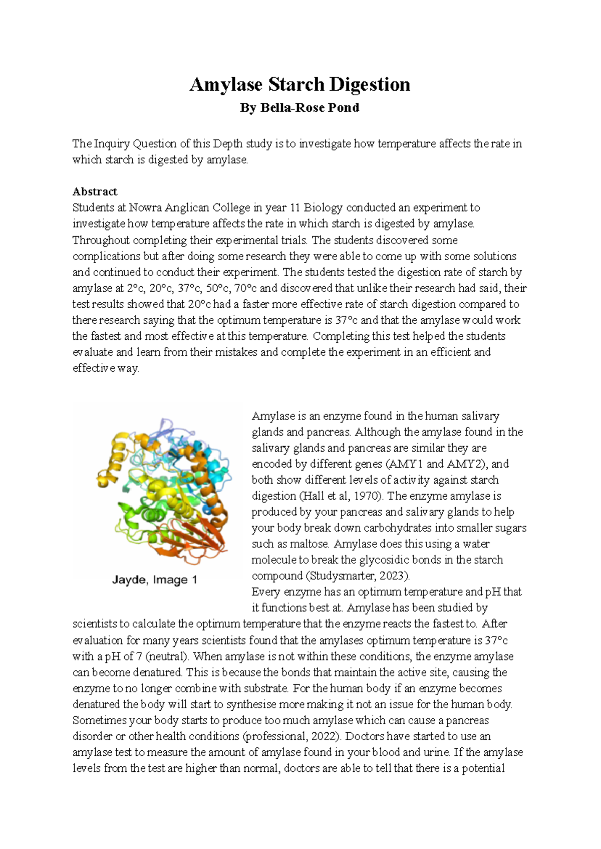 Year 11 Biology Depth Study: Amylase Effect on Starch Digestion - Studocu