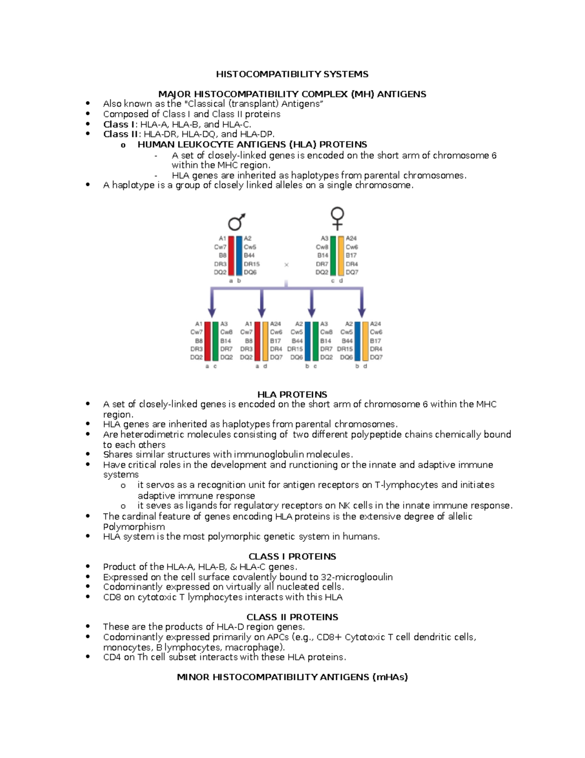 HIST 301: Major Histocompatibility Complex (MHC) Antigens in ...