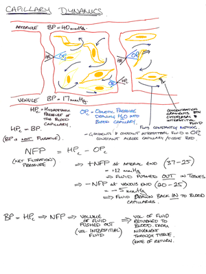 Reproduction Worksheet - Match each hormone with the appropriate ...