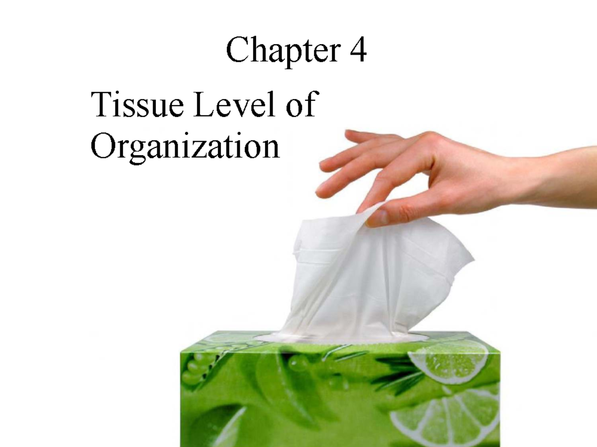 Chapter 4: Tissue Level of Organization - Overview of Tissues (Module 4 ...