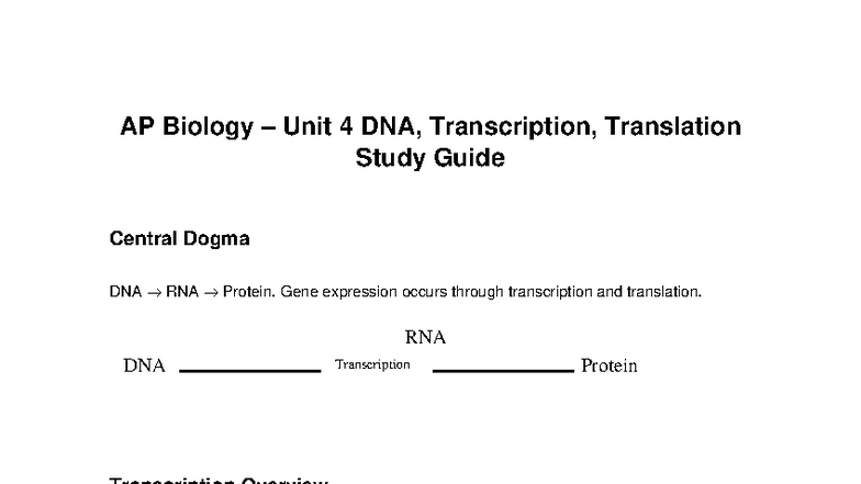 AP Biology Unit 4 Study Guide: DNA, Transcription & Translation - Studocu