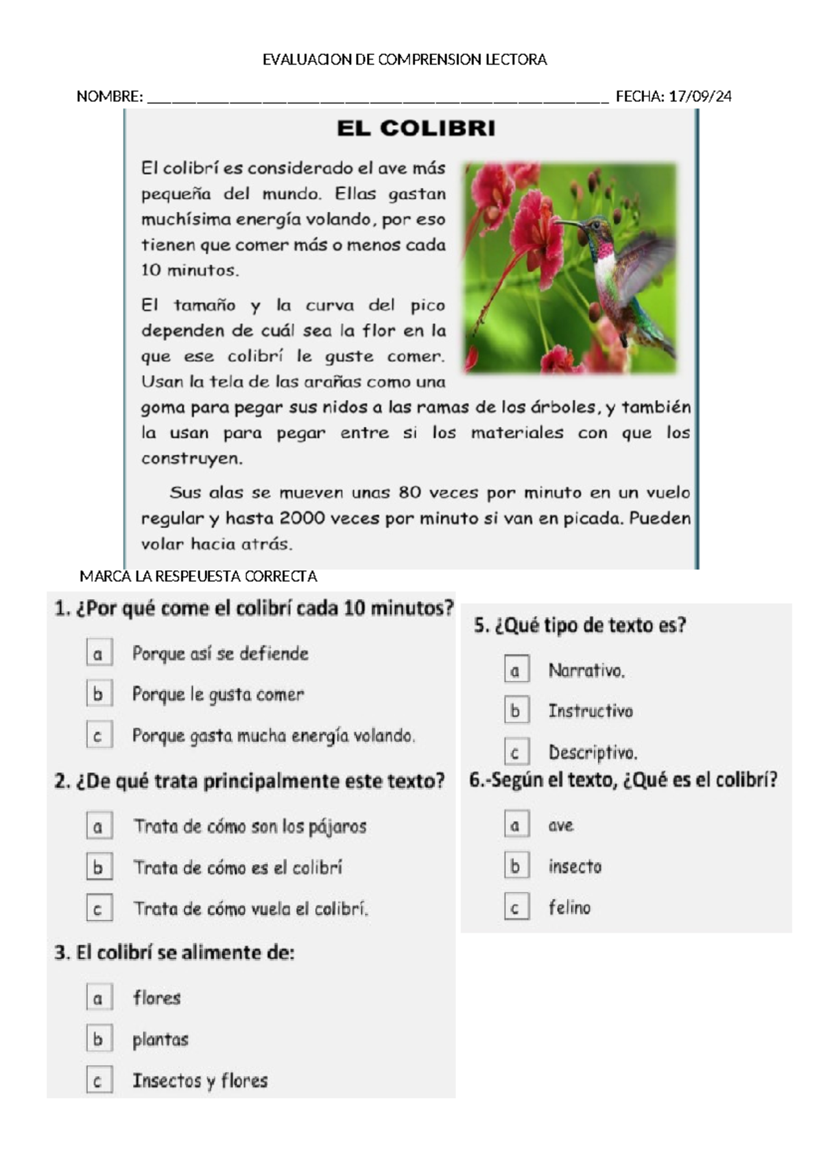 Evaluación de Comprensión Lectora - Septiembre 2024 - Studocu