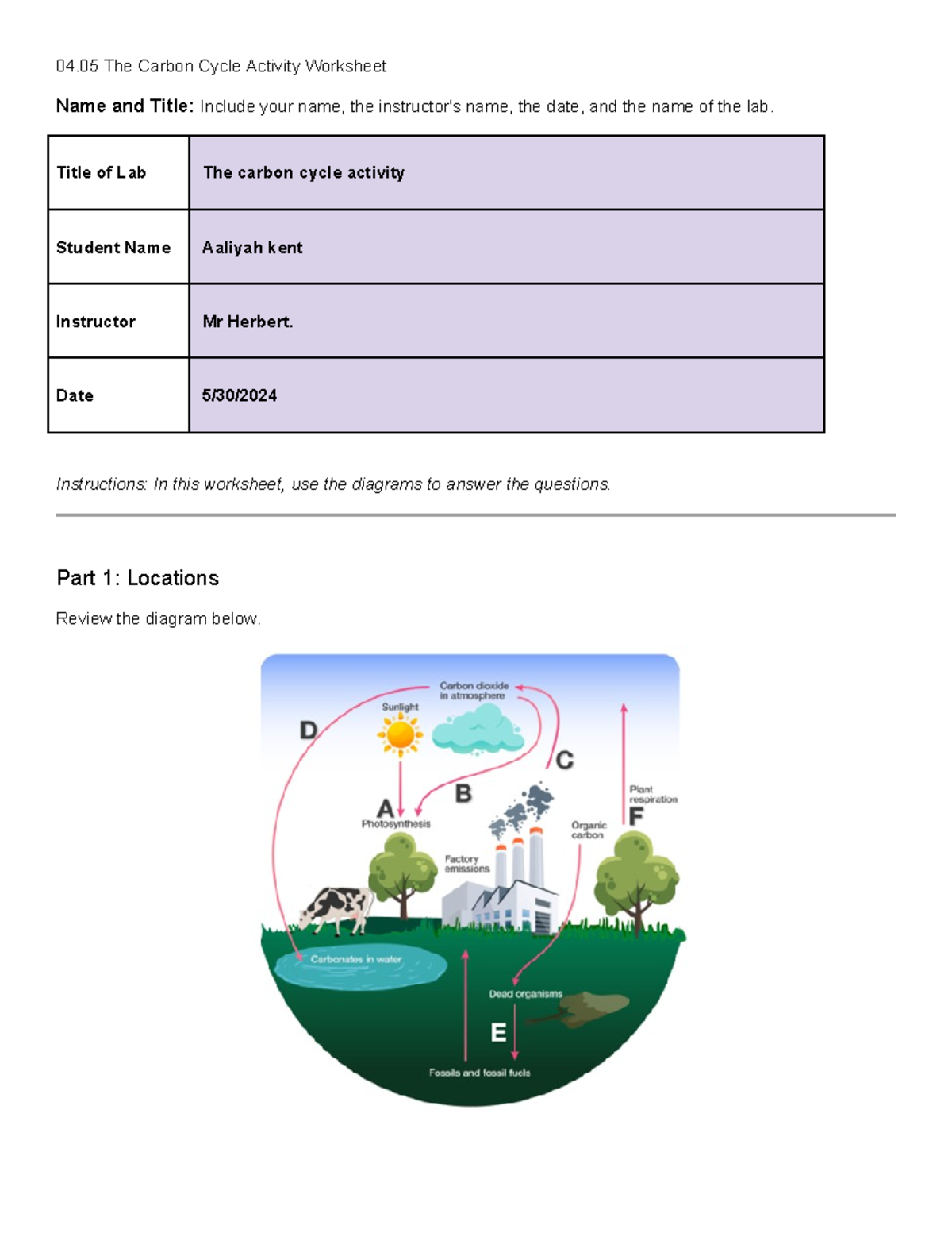 Carbon worksheet complete - 04 The Carbon Cycle Activity Worksheet Name ...