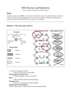 U7M3A6 - Pogil Selection and Speciation Part B - POGIL: Selection and ...