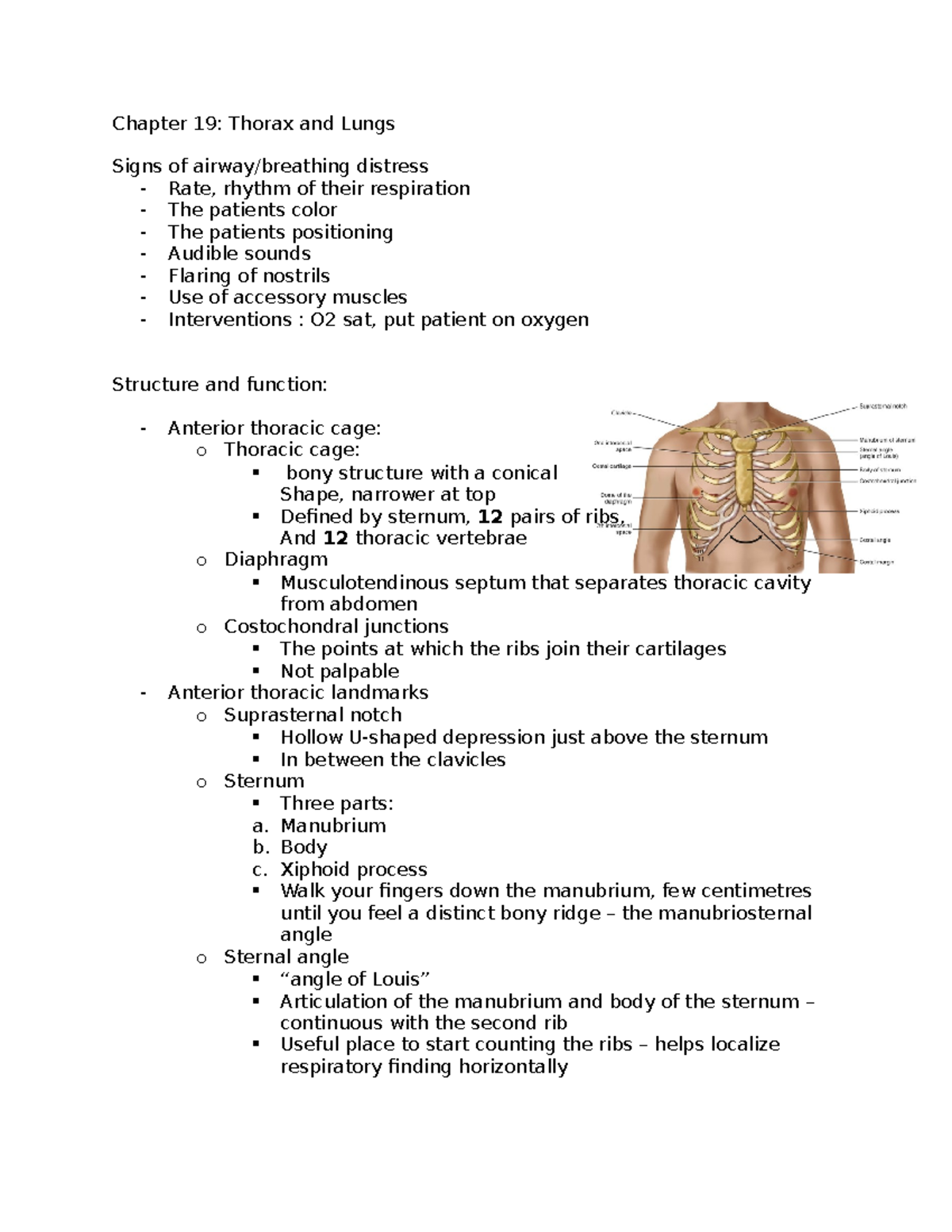 HLSC 252 Chapter 19 - Comprehensive Notes on Lungs and Thorax - Studocu