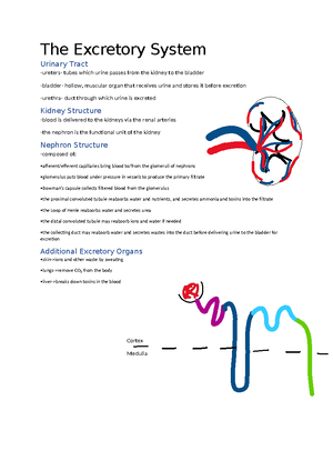 How to write a practical report - Mr. Huynh’s ULTRA GUIDE TO WRITING A ...