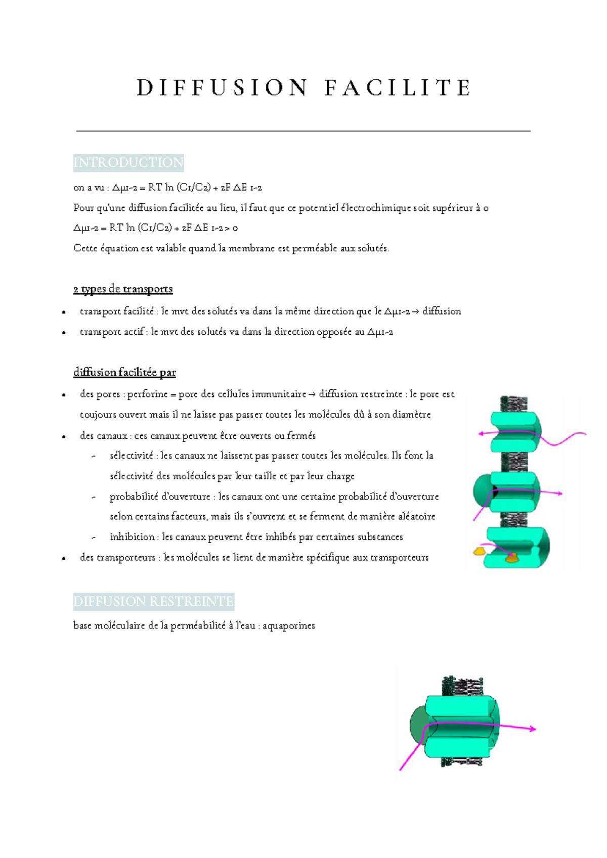 Diffusion Facilitée en Biologie Cellulaire (Cours BIO203) - Studocu