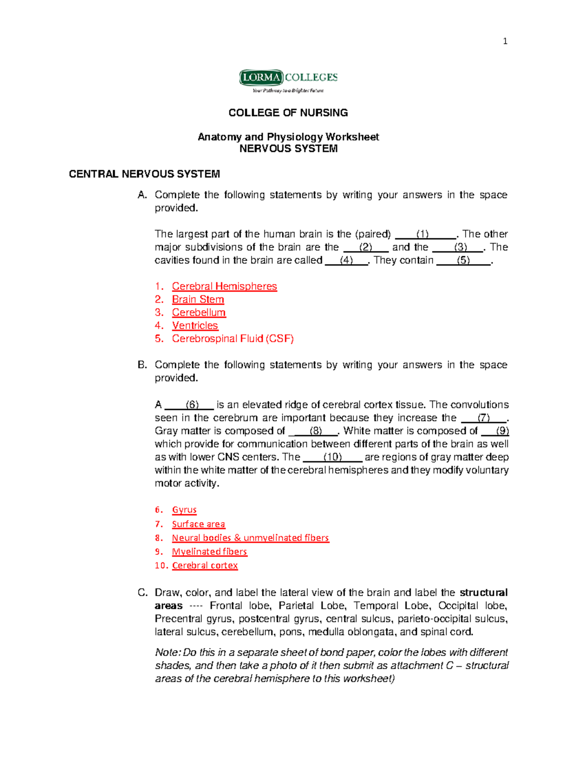 NUR-301 Nervous System Anatomy & Physiology Worksheet - Studocu