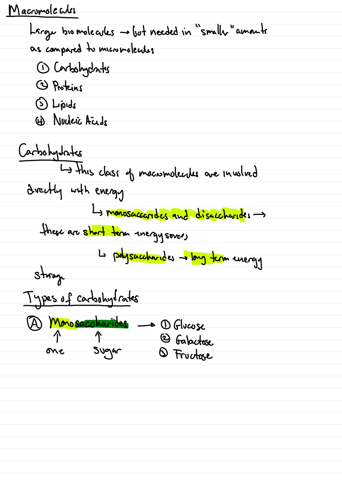 Macromolecules: Carbohydrates, Proteins, Lipids, and Nucleic Acids ...