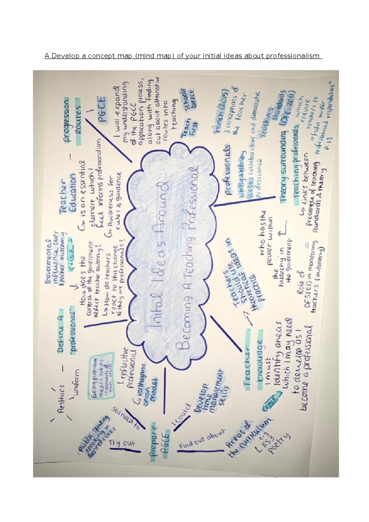 Teaching and Professionalism Portfolio - A Develop a concept map (mind ...