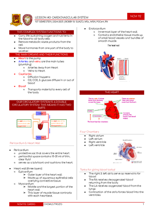 Nursing Notes Medsurg - 1. Cardiovascular System Cardiac Anatomy and ...
