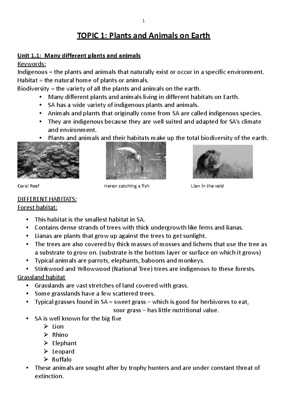 Grade 4 NST - Natural Sciences & Technology Term 2 Notes - Studocu