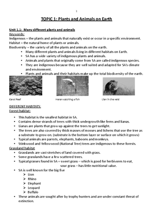 LIFE Skills Lesson Plans Grade 2 WEEK 2 1 - Foundation Phase Weekly ...