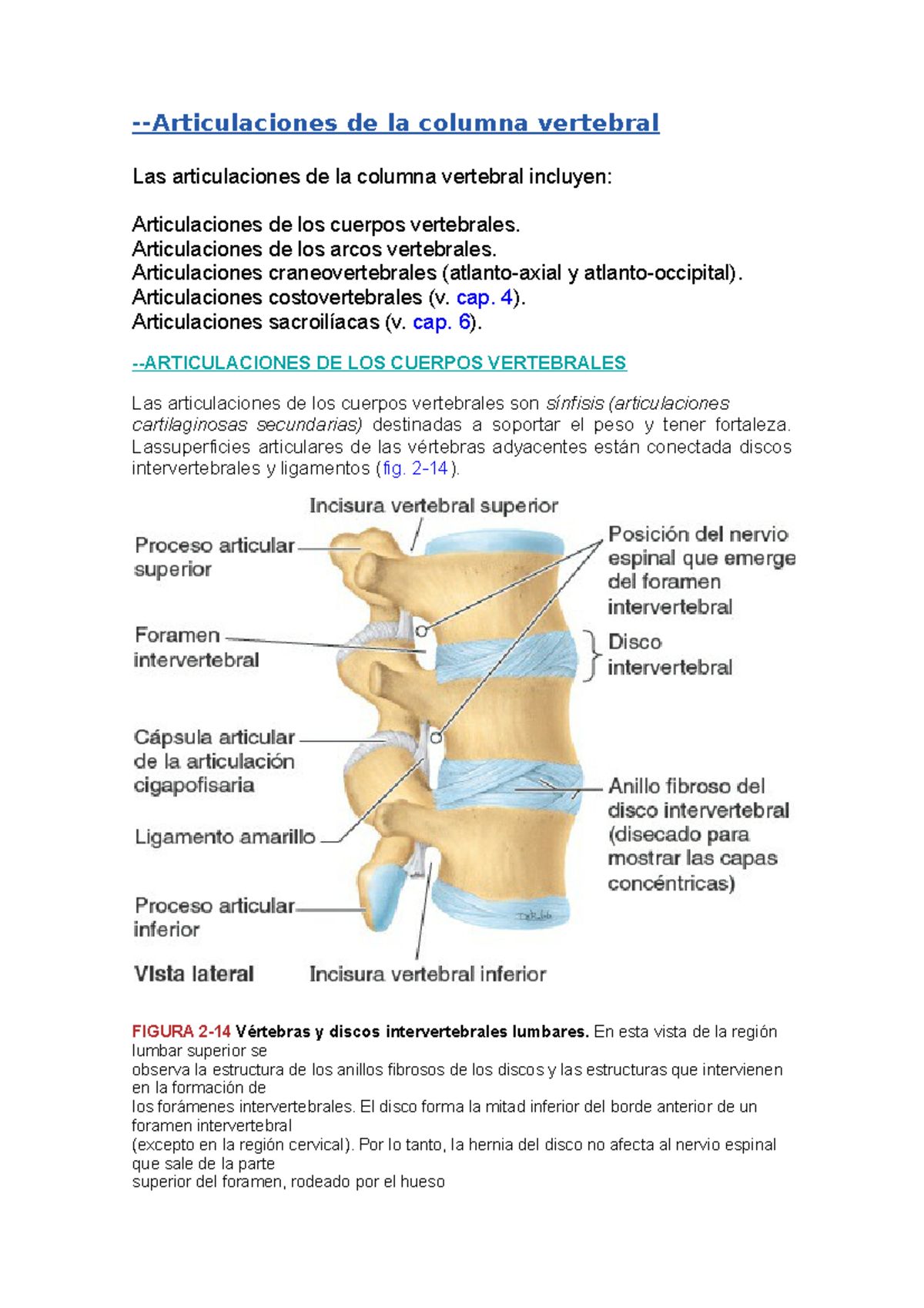 Articulaciones de la Columna Vertebral: Estructura y Función - Studocu