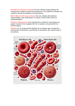 Organización del Imperio Incaico: Trabajo Ayni y Estructura Social ...