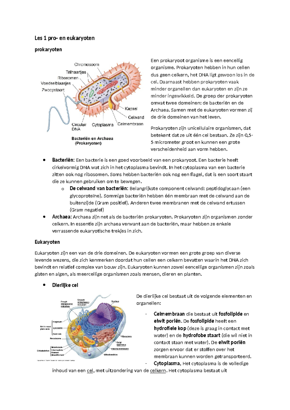 Samenvatting Celbiologie: Pro- en Eukaryoten, Virussen en Protisten ...