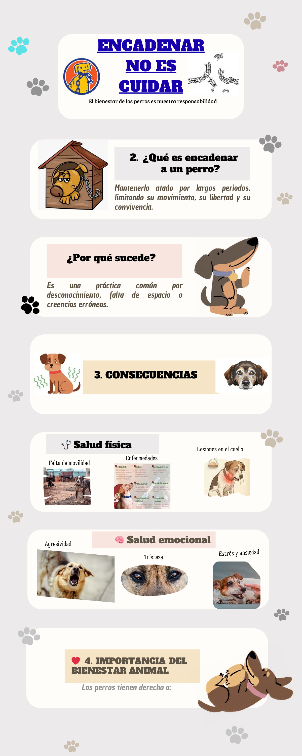 ENCADENAR NO ES CUIDAR: Infografía sobre Bienestar Canino - Studocu