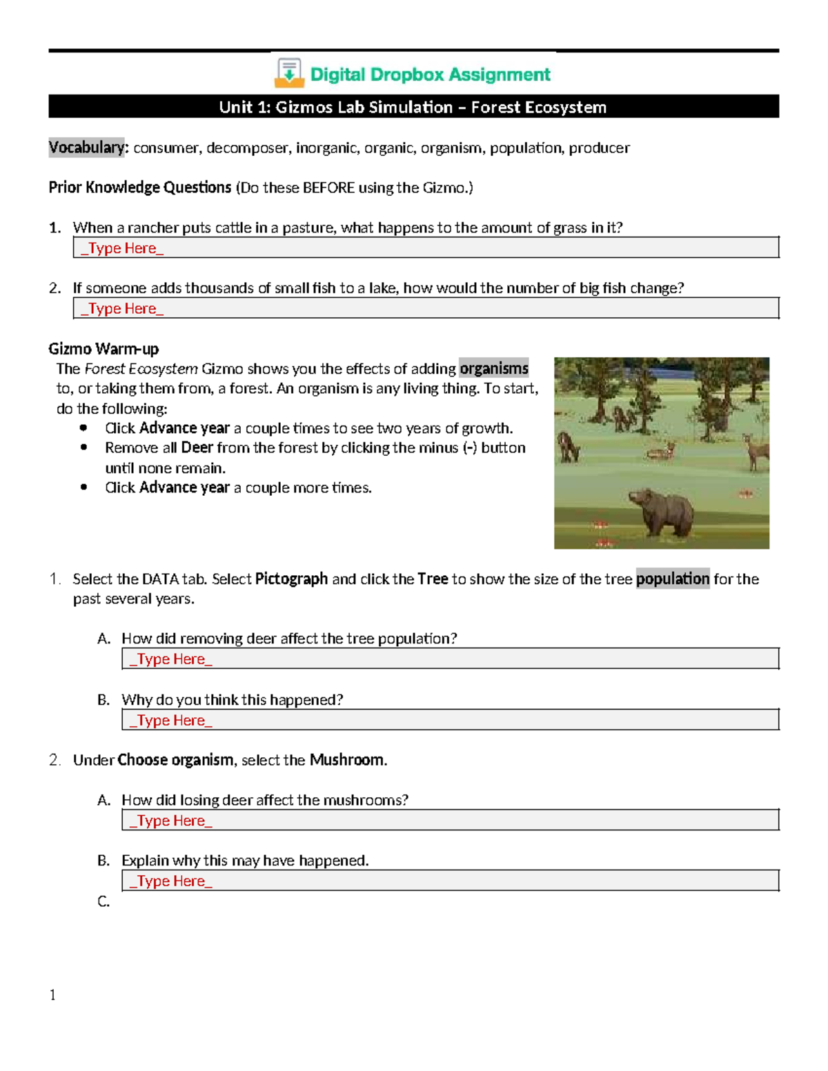 U1: Gizmos Lab Simulation on Forest Ecosystem Vocabulary & Analysis ...