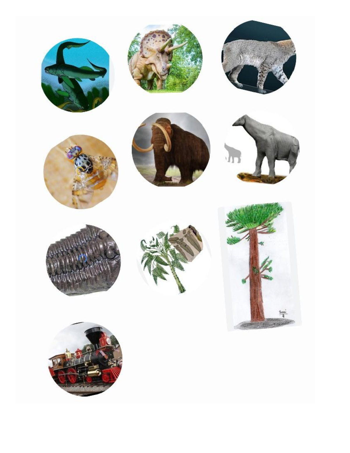 Imagenes de periodos de la tierra - Geologia General - Seni H - Studocu