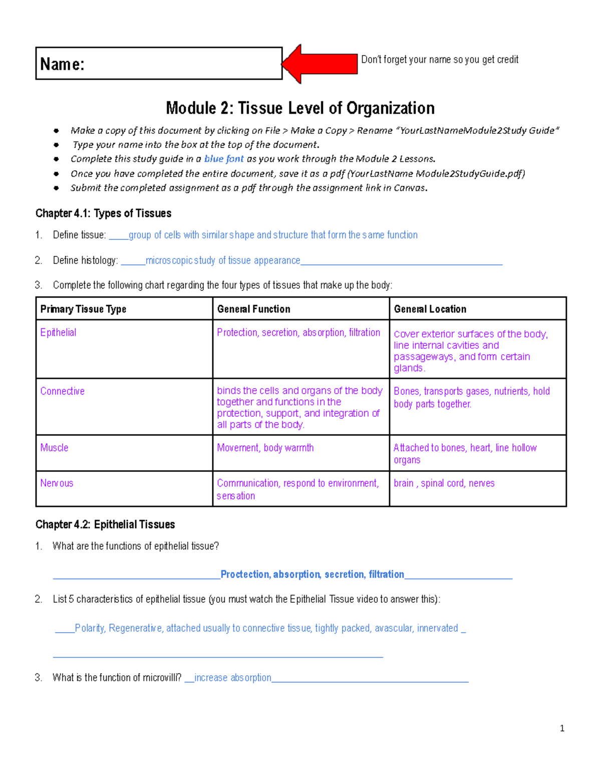 Module 2 Study Guide: Tissue Level of Organization (BIO) - Studocu