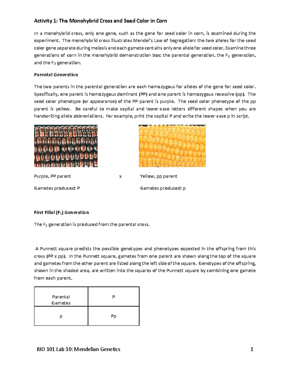 BIO 101 Lab 10: Exploring Mendelian Genetics through Crosses - Studocu