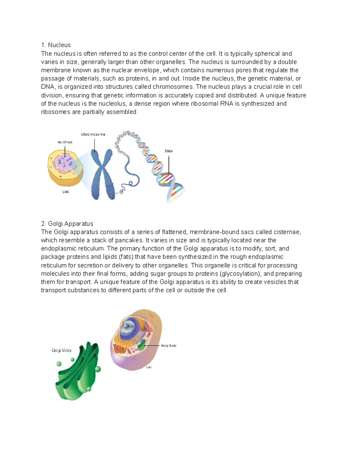 Cell Organelles Overview: Function & Structure Analysis (BIO101) - Studocu