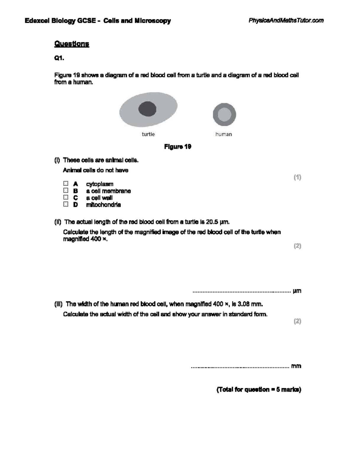 Edexcel Biology GCSE Cells & Microscopy Past Papers Questions - Studocu