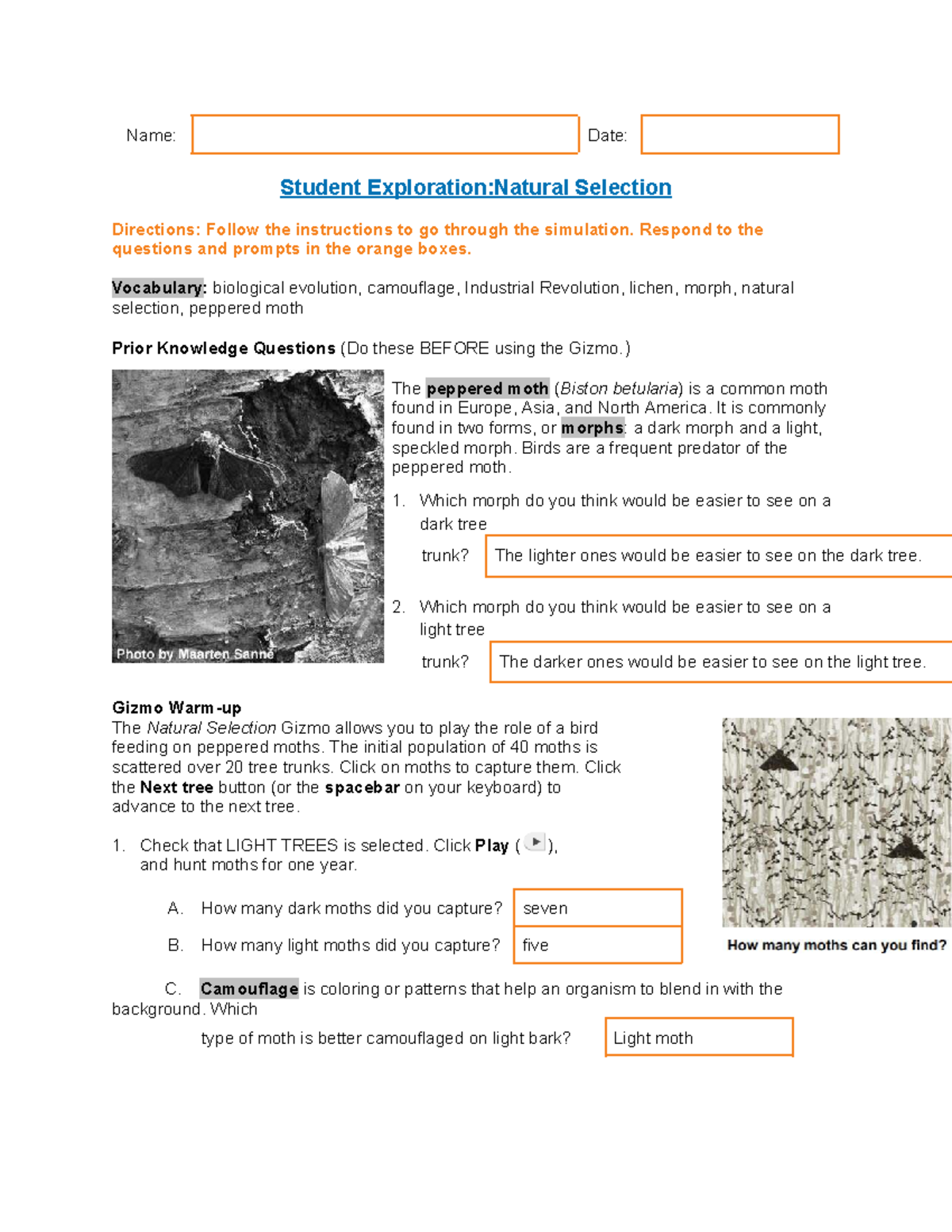 Natural Selection Simulation: Exploring Moth Populations and Survival ...
