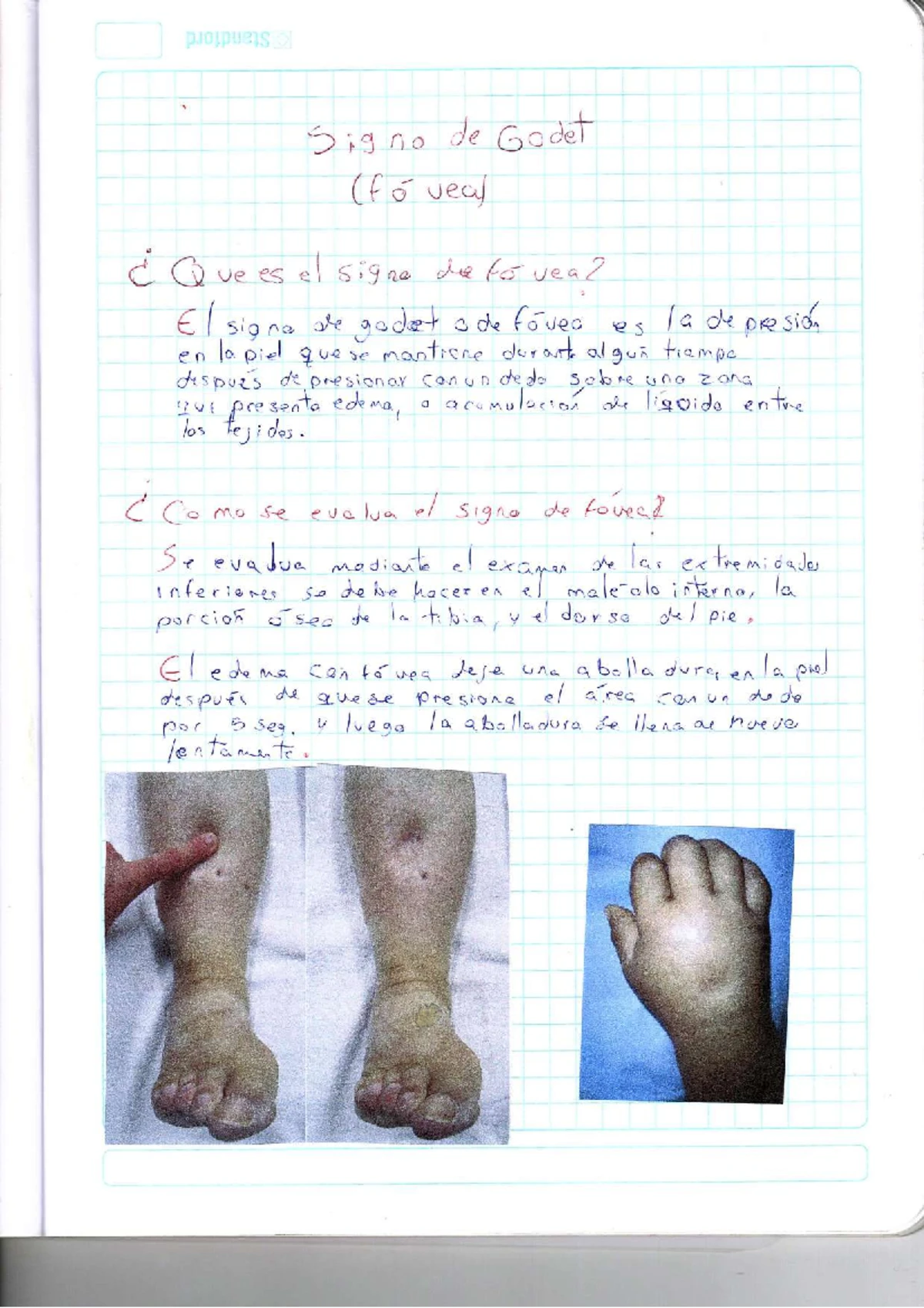 Anatomía y Fisiología de la Piel - IV Semestre Fisioterapia en Cx y ...