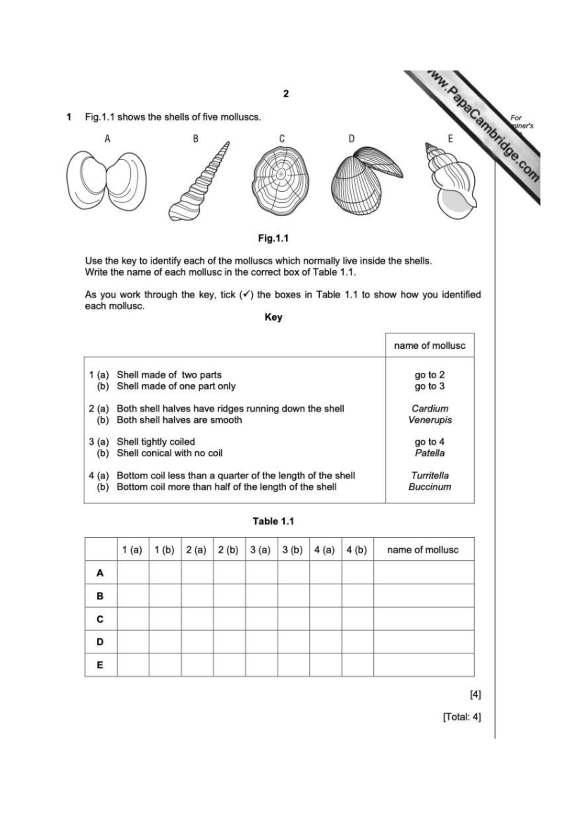 CIE Biology Practice: Identifying Molluscs from Shells - Studocu