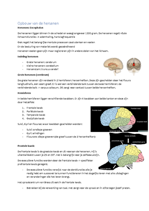 Anatomie van de Romp: Wervelkolom en Rugspieren Overzicht - Studeersnel